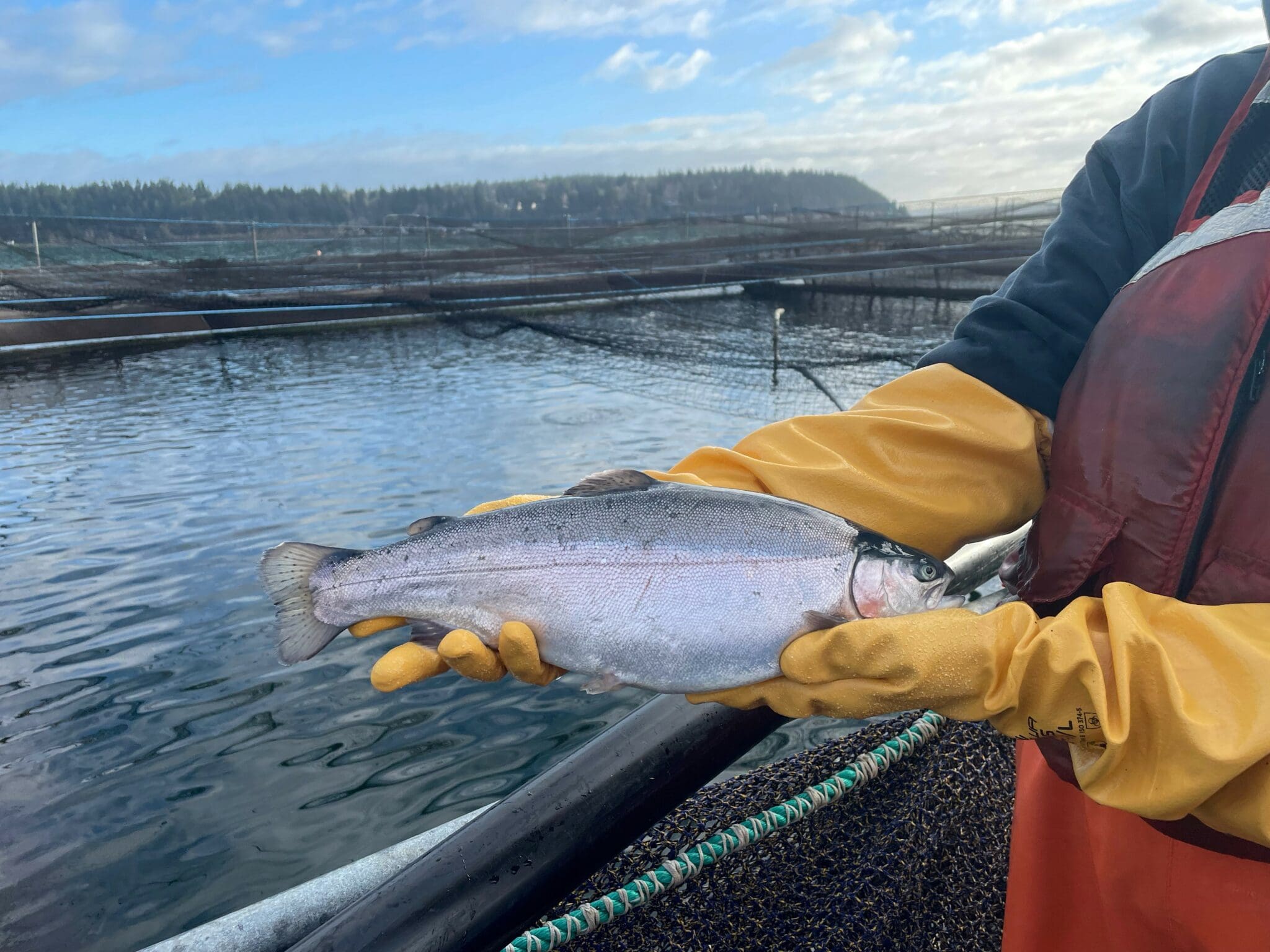 NWAA TO PUBLIC LANDS COMMISSIONER FRANZ: YOU GOT IT WRONG! - Northwest ...